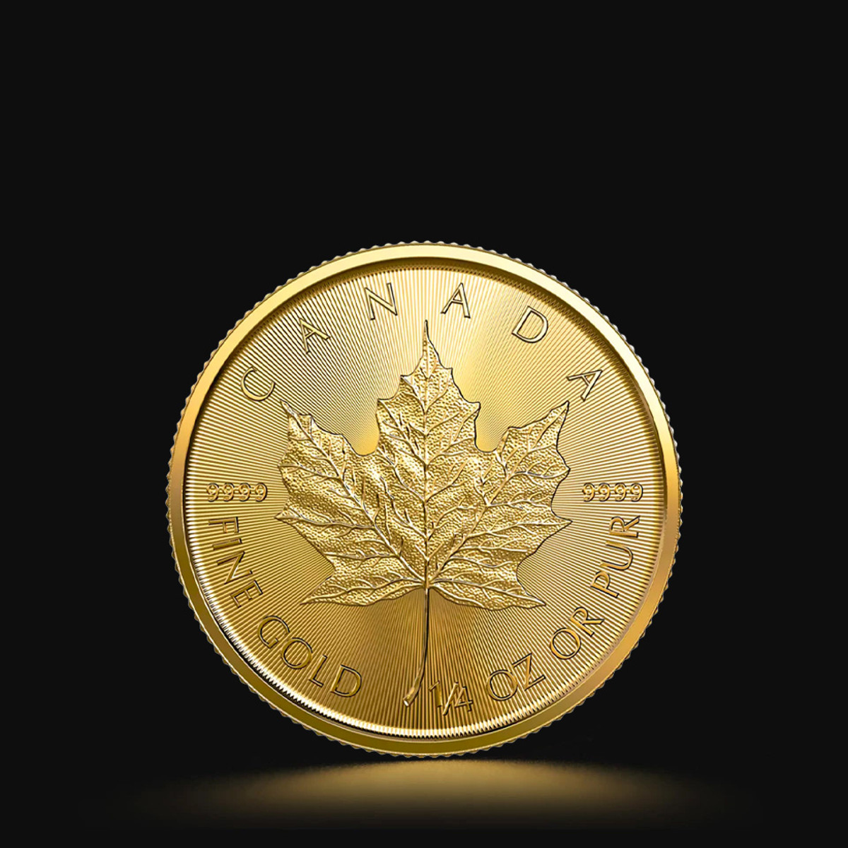 1/4 oz Kanadensisk Maple Leaf Guldmynt - Tavex Sweden